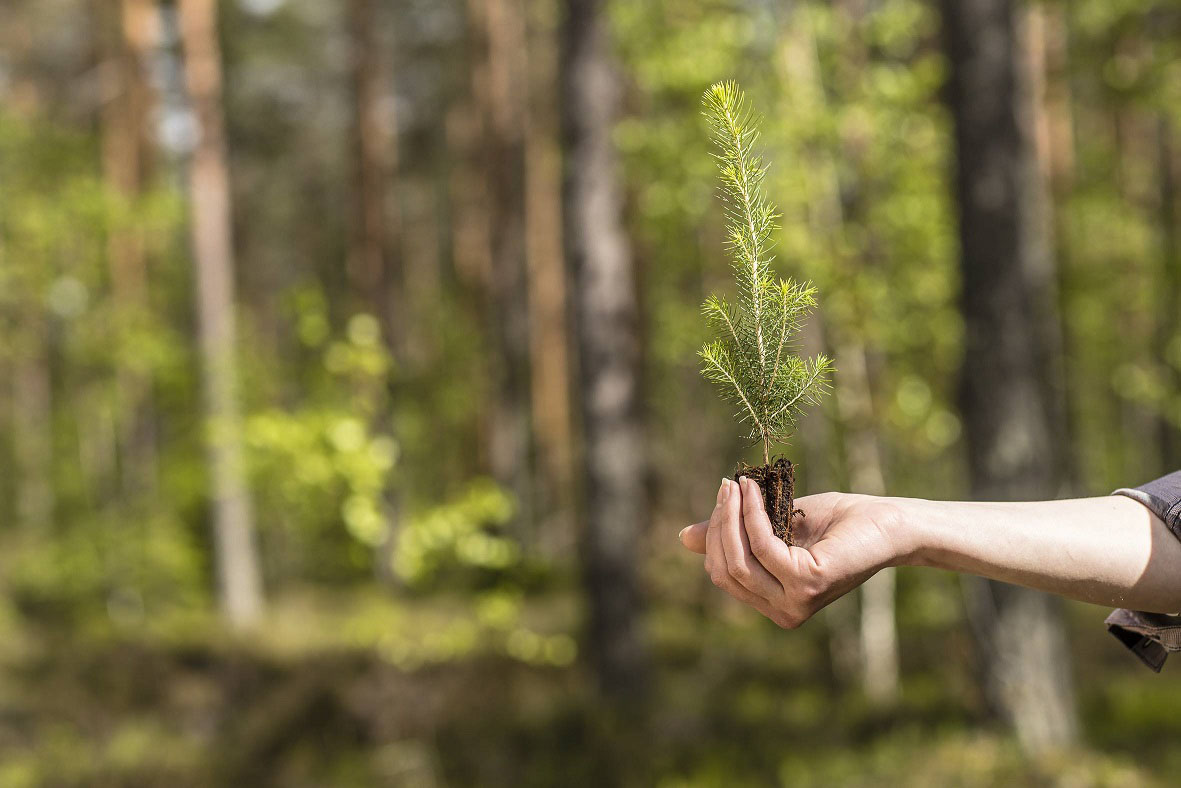 Stora Enson kesätyöt 2021: Haussa 700 paikkaa eri puolilla Suomea